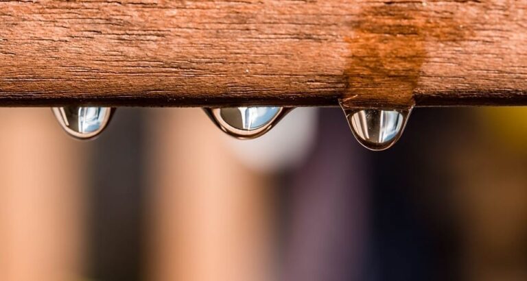 Preventing Roof Condensation: Insights From Steadfast Roofing